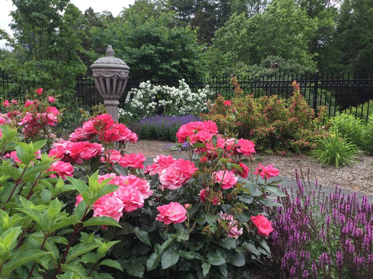 Events from September 8 – July 18 – Wickham Park