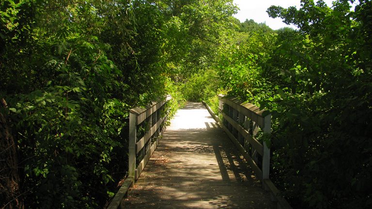 Events from October 19 – April 27 – Wickham Park