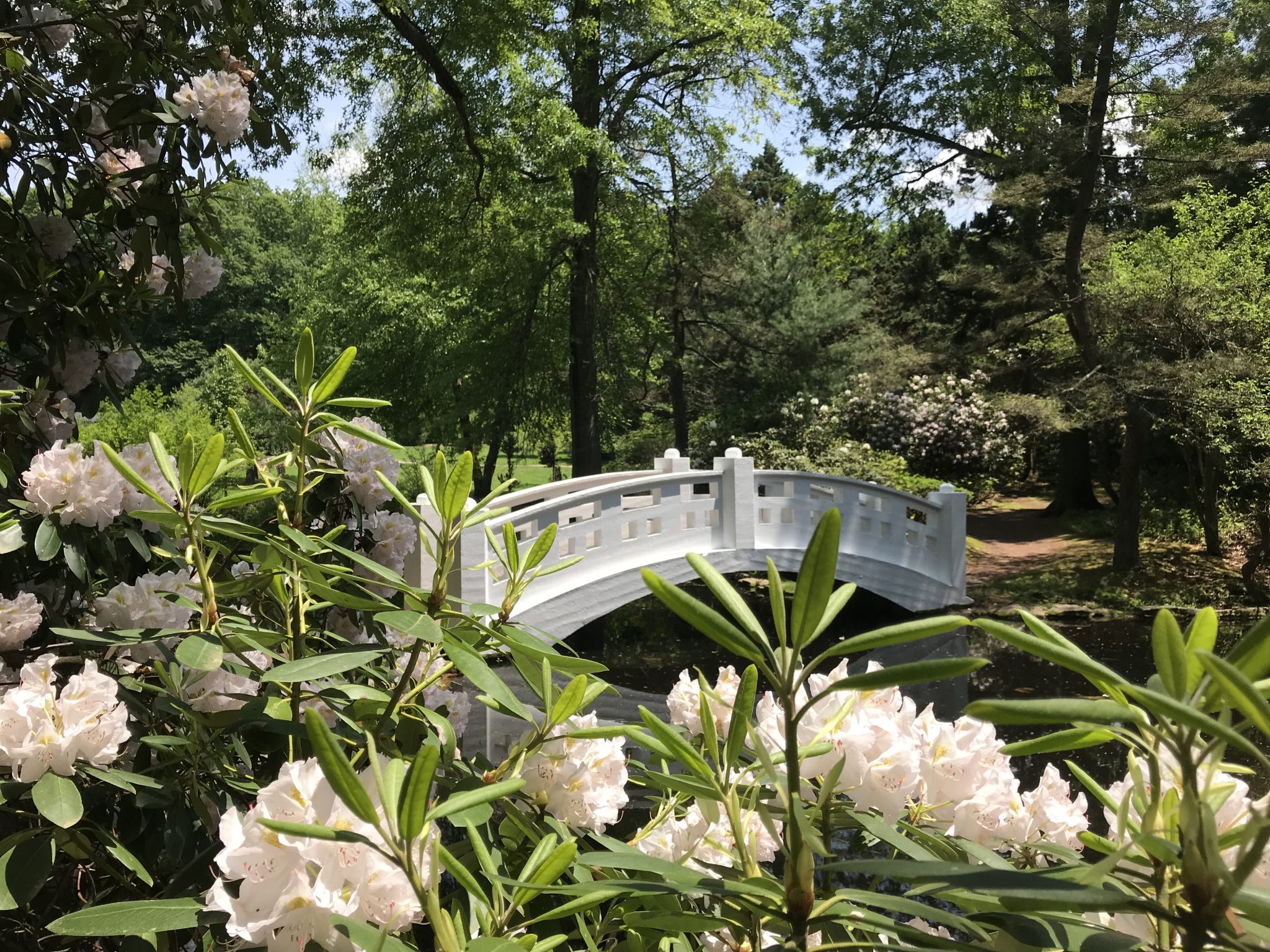 Events from August 1 – November 1 – Wickham Park