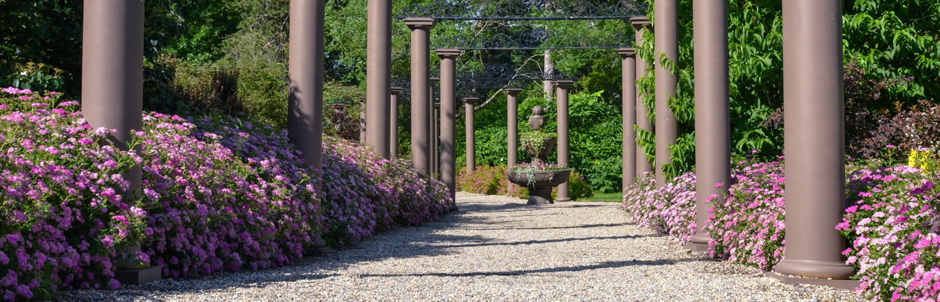 The Scottish Garden - Wickham Park