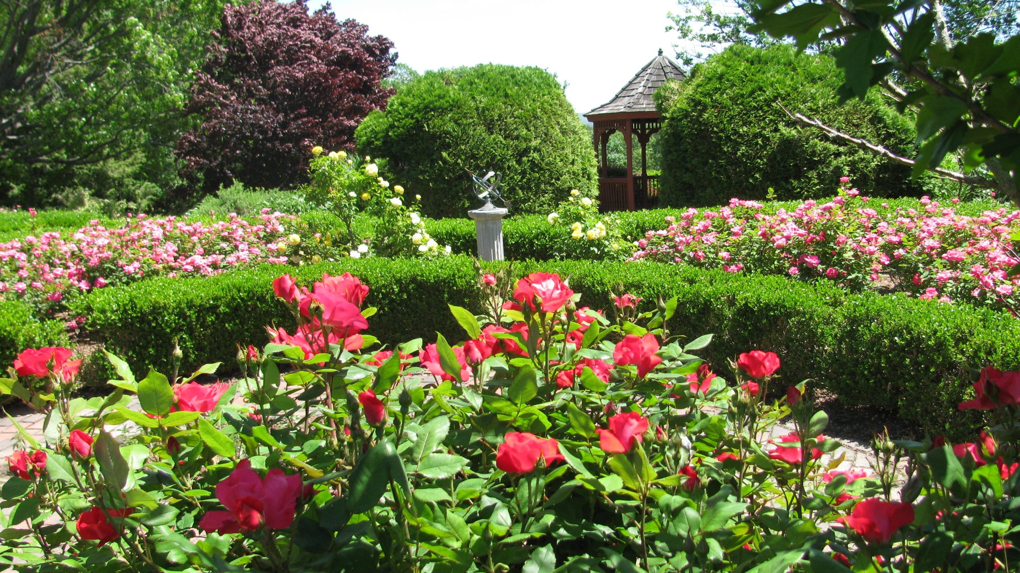 Events from June 11 – July 18 – Wickham Park